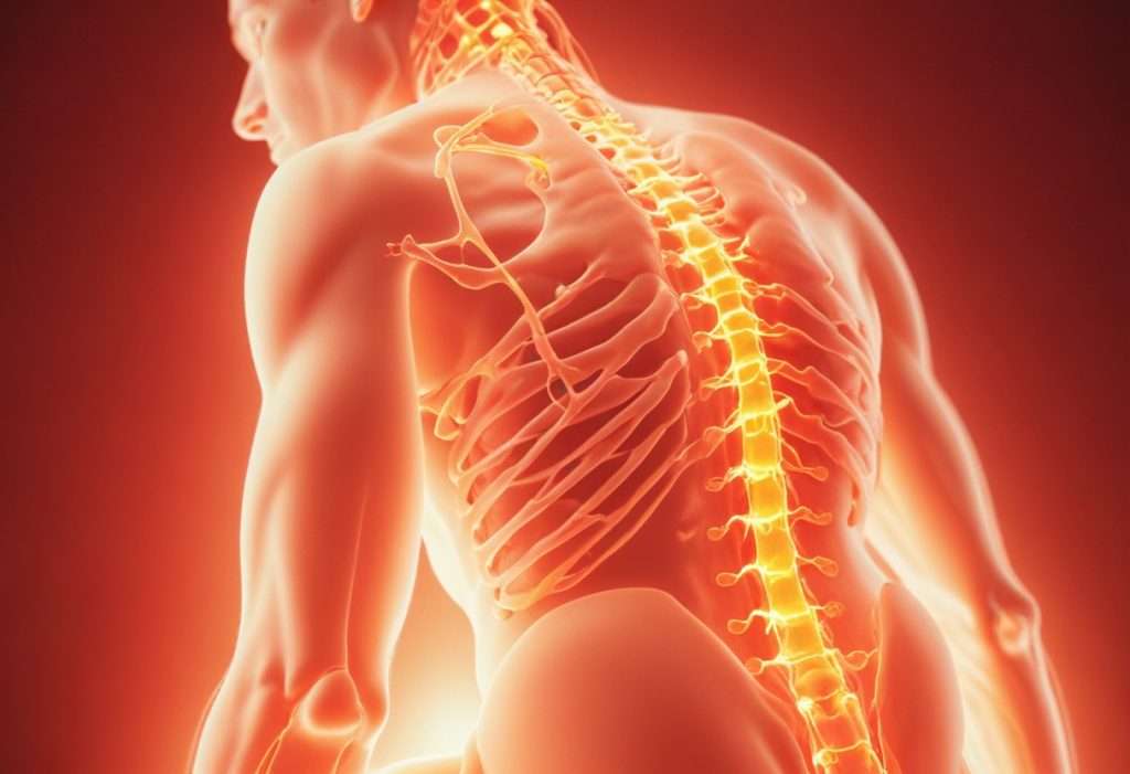 Spinal Cord Stimulator Permanent Restrictions - What You Need to Know